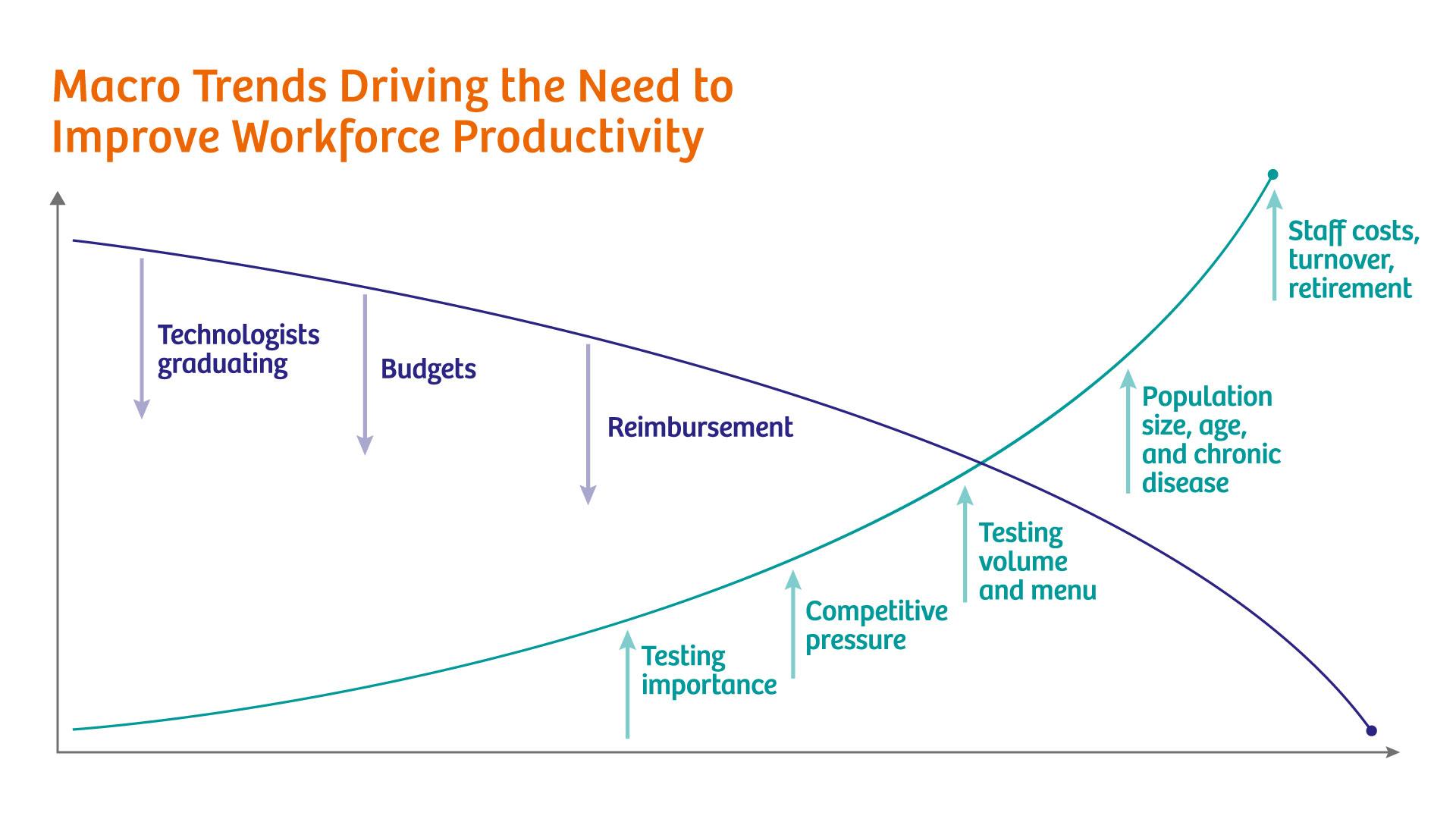 Increasing Workforce Productivity in the Diagnostic Laboratory