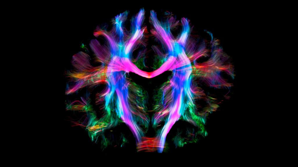 New directions in the early detection of neurological diseases