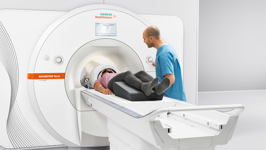 Expert on ultra-high field magnetic resonance imaging from Siemens ...