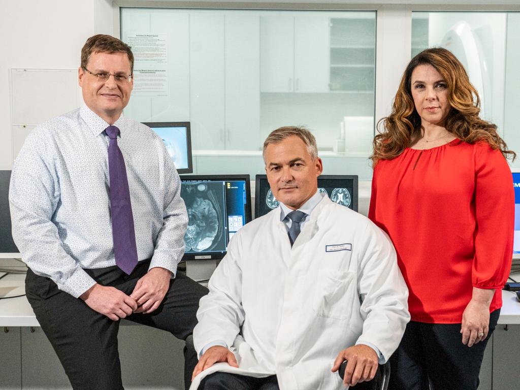 Expert on ultra-high field magnetic resonance imaging from Siemens ...