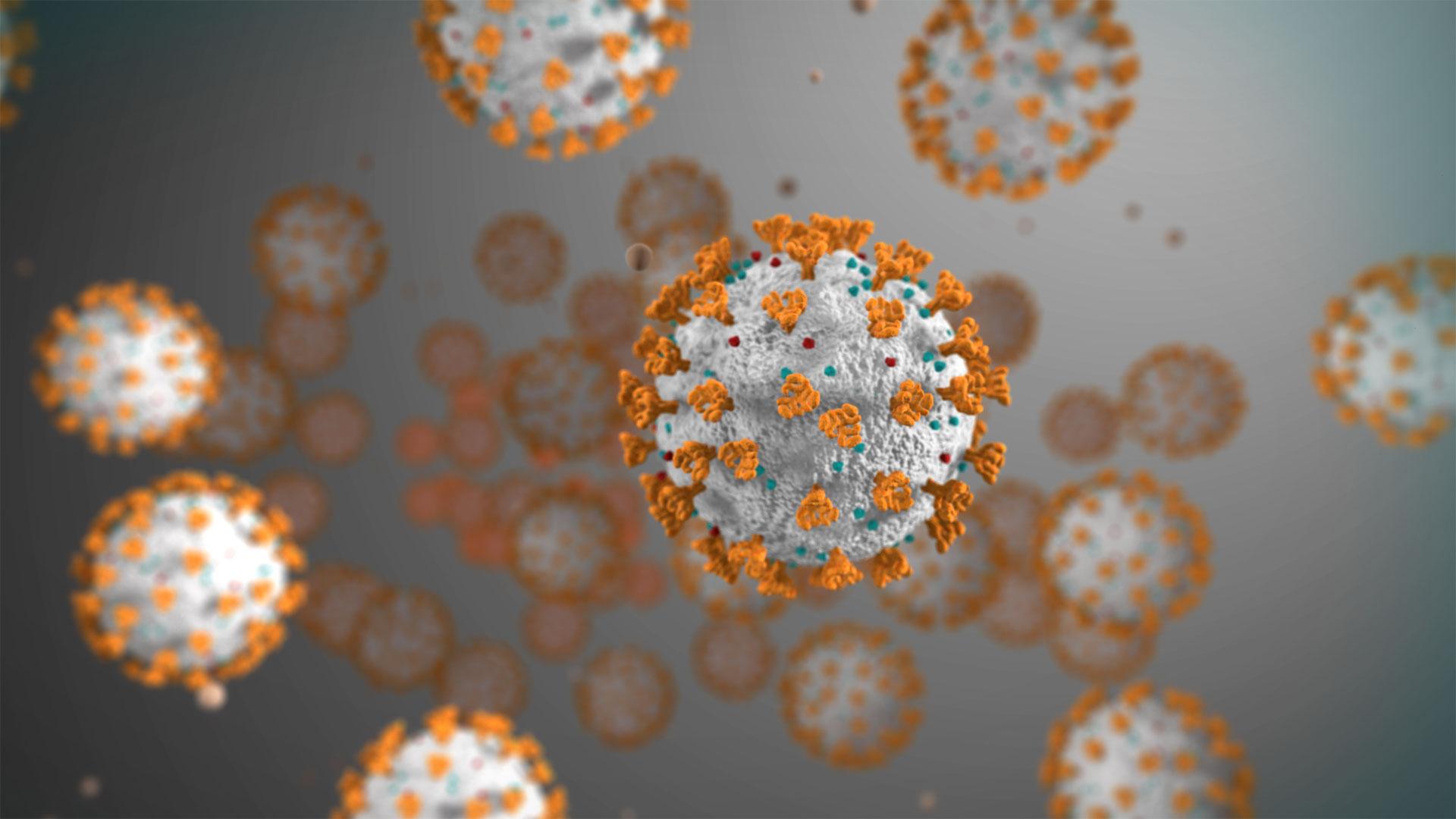 Siemens Healthineers Releases Test Kit for Coronavirus COVID-19