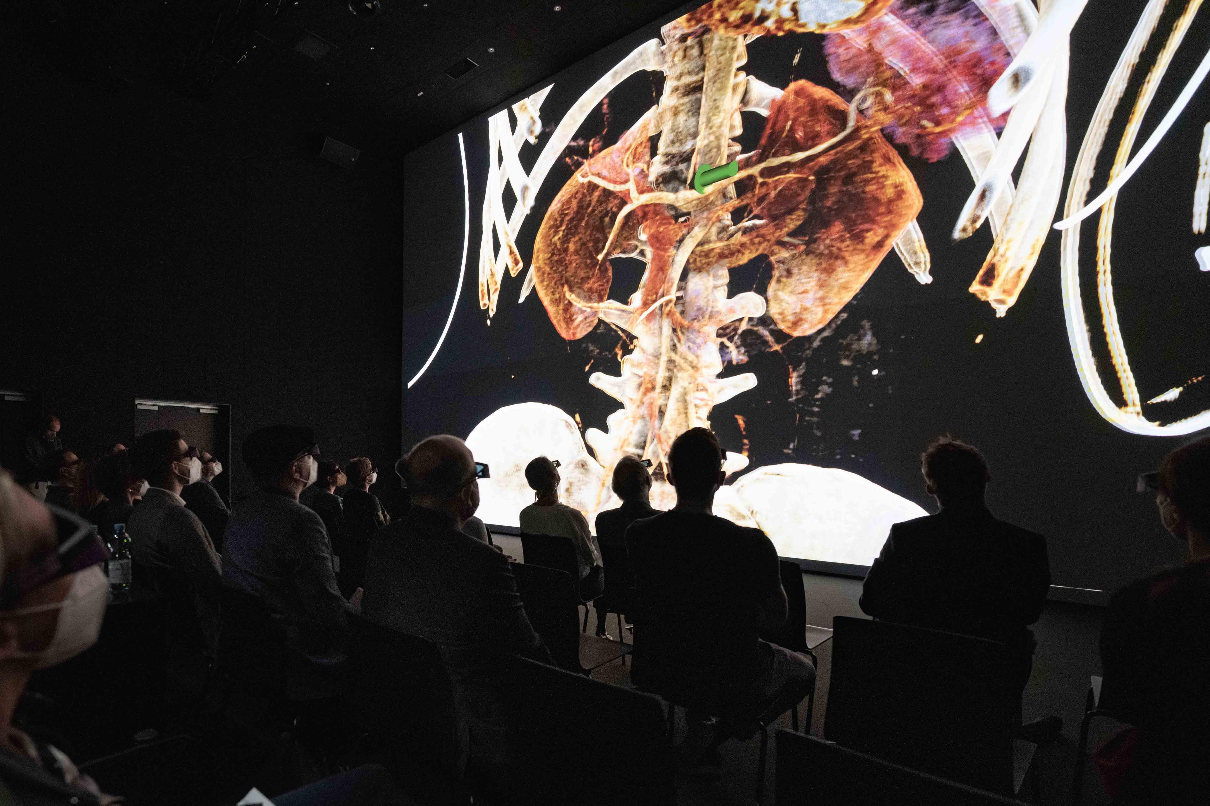 Anatomical lectures with Cinematic Anatomy