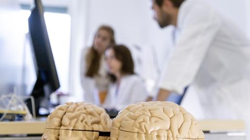 Magnetic resonance imaging in multiple sclerosis