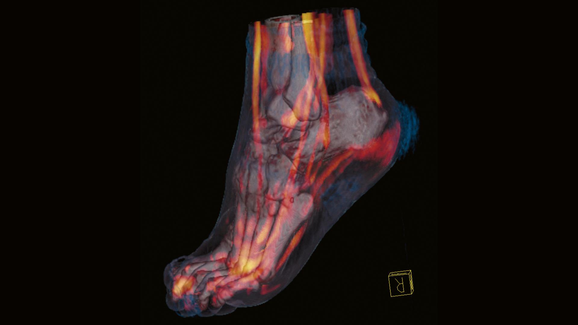 A history rich in innovation