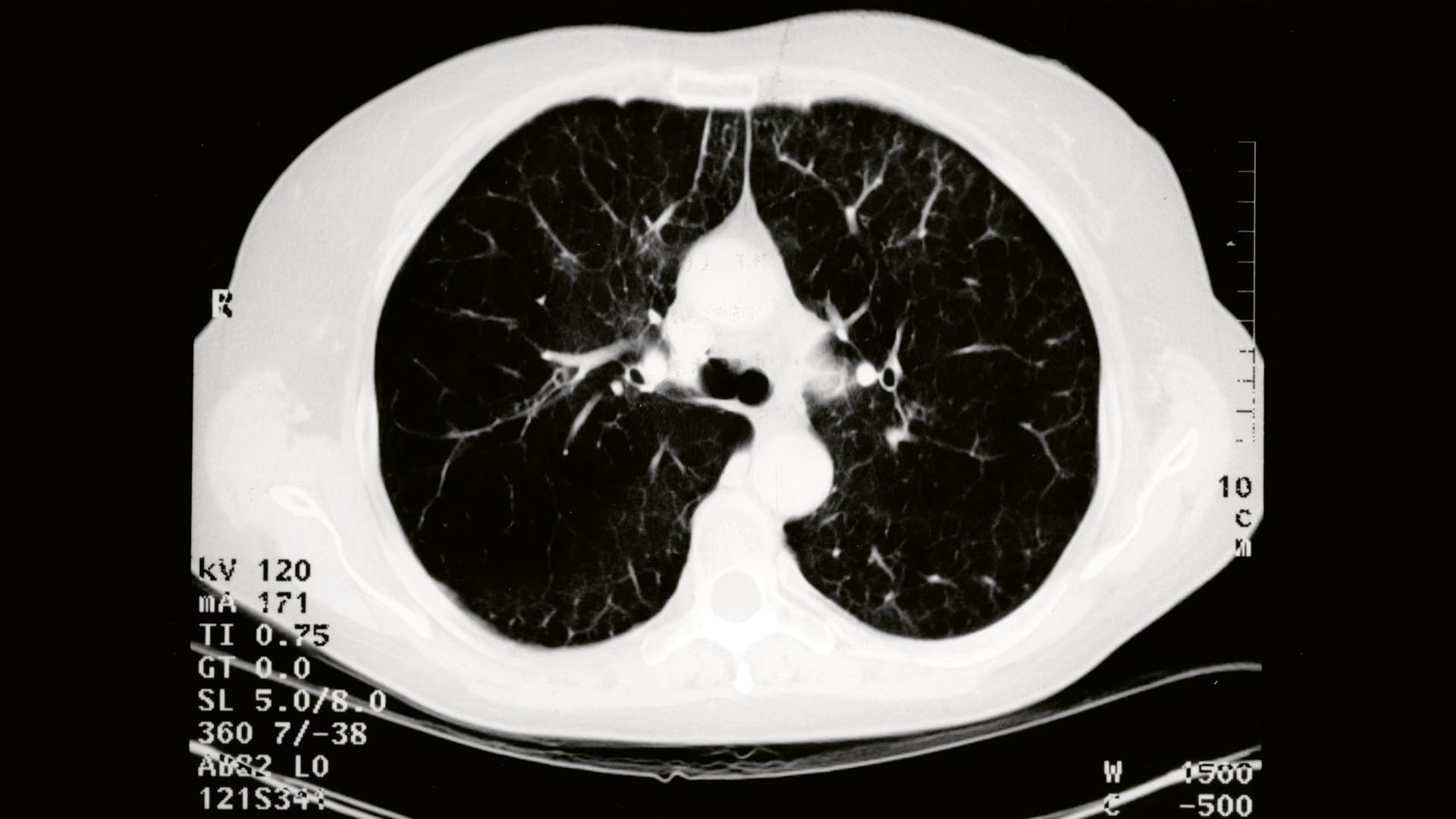 A history rich in innovation