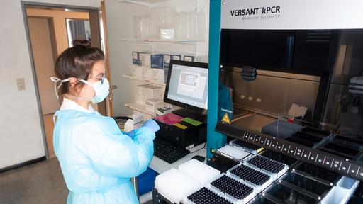 Molecular tests are pivotal in combating the COVID-19 pandemic