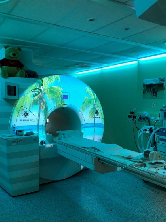 Trust starts long before the examination